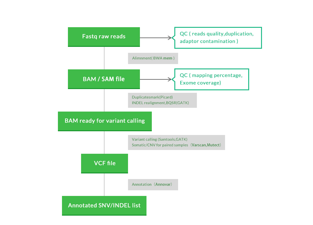 Whole Exome Sequencing (WES) Service | QuickBiology